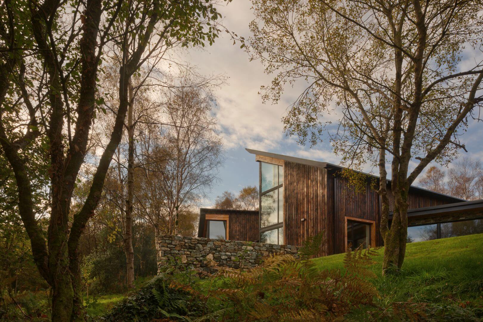 Forest House | McCabe Architects
